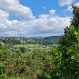 Puhoi Lookout Track, Auckland, New Zealand - 45 Reviews, Map | AllTrails