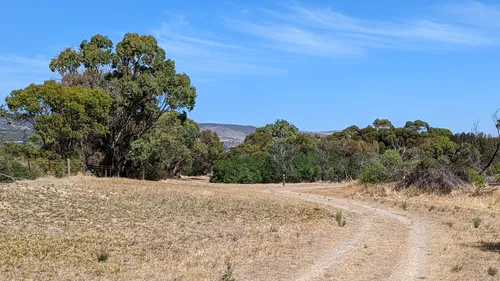2023 Best Trail Running Trails in Aldinga Scrub Conservation Park ...