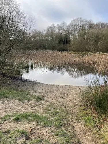 Best Hikes and Trails in Yateley Common Country Park | AllTrails