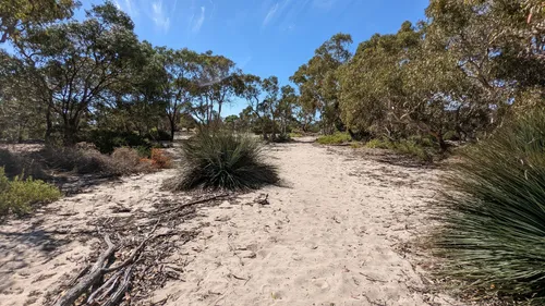 Best Moderate Trails in Aldinga Scrub Conservation Park | AllTrails