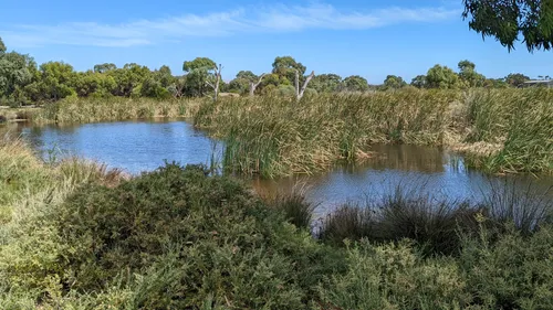 Best Walking Trails in Aldinga Conservation Park | AllTrails