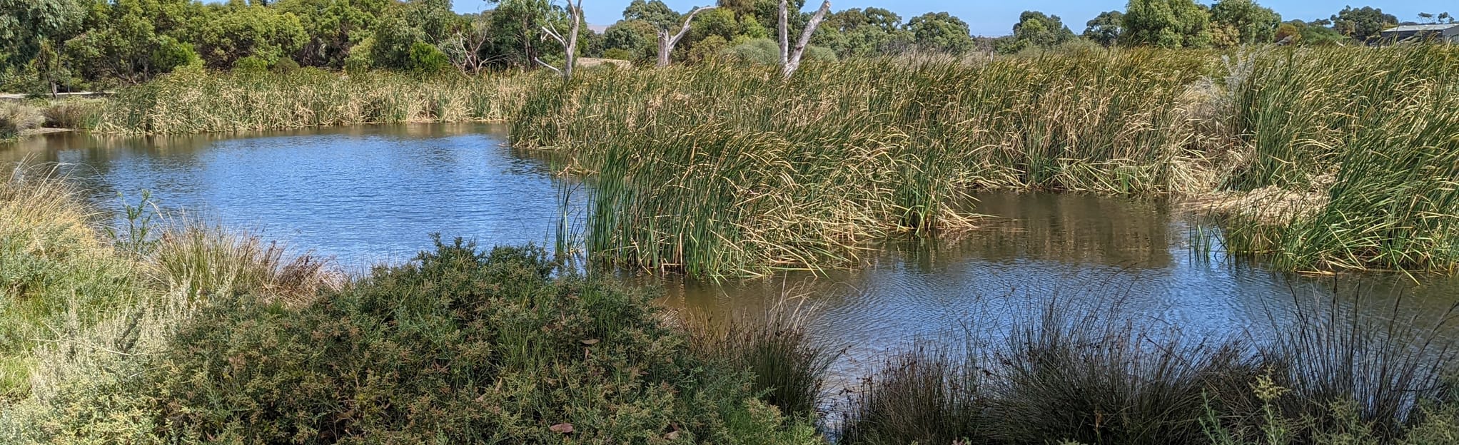 Aldinga Wetlands and Conservation Park via Yacca Track - South ...