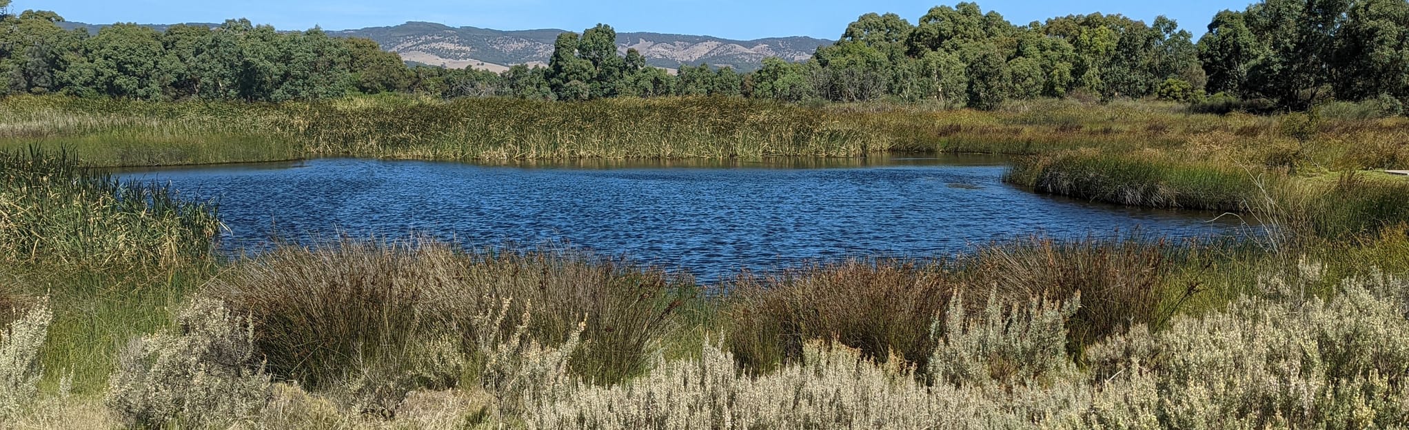 Hart Road Wetlands: 15 Reviews, Map - South Australia, Australia ...
