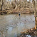 Spring Brook Trail: Rock Bridge Memorial State Park, Missouri - 252 ...