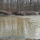 Spring Brook Trail: Rock Bridge Memorial State Park, Missouri - 252 ...