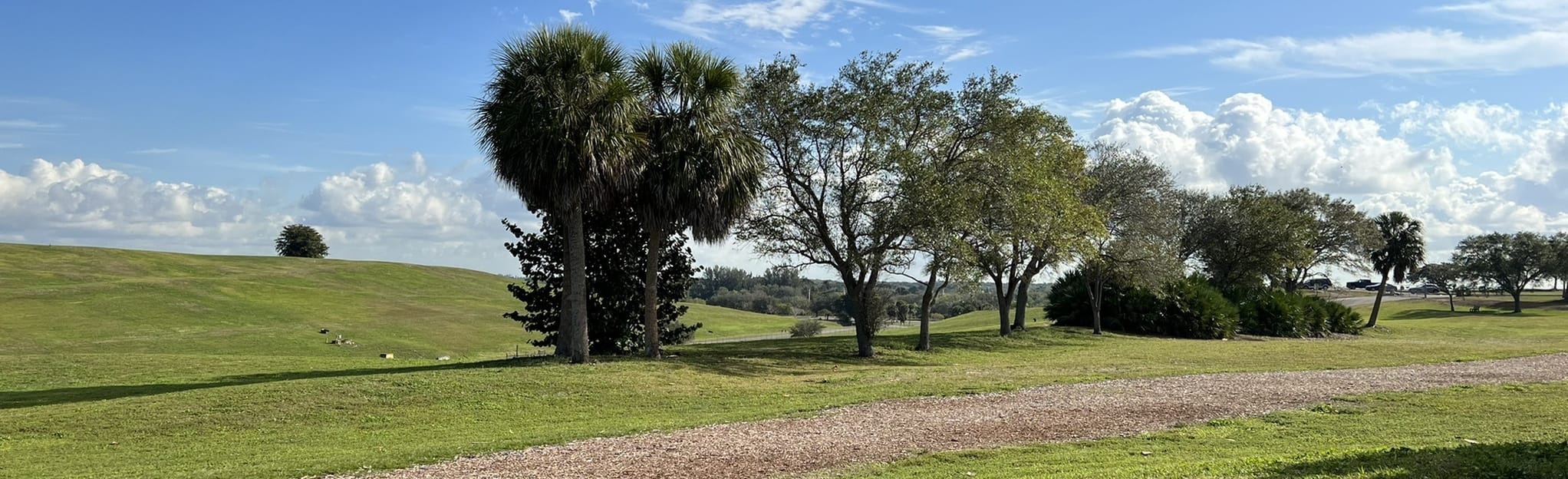 Vista View Park Hill Trail: 250 Reviews, Map - Florida | AllTrails