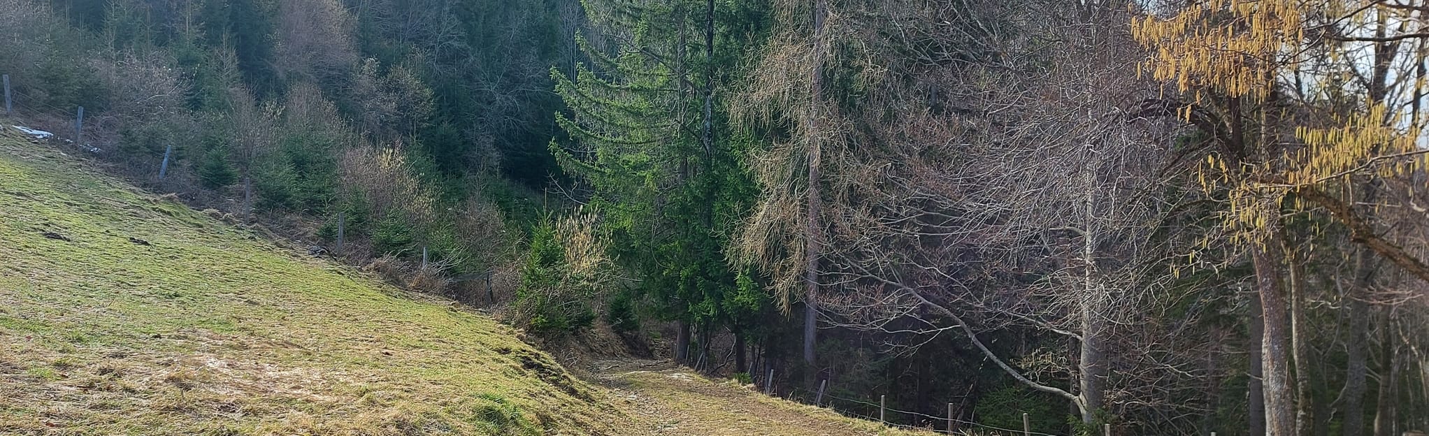 Grasberg - Glatzberg, Lower Austria, Austria - Map, Guide | AllTrails