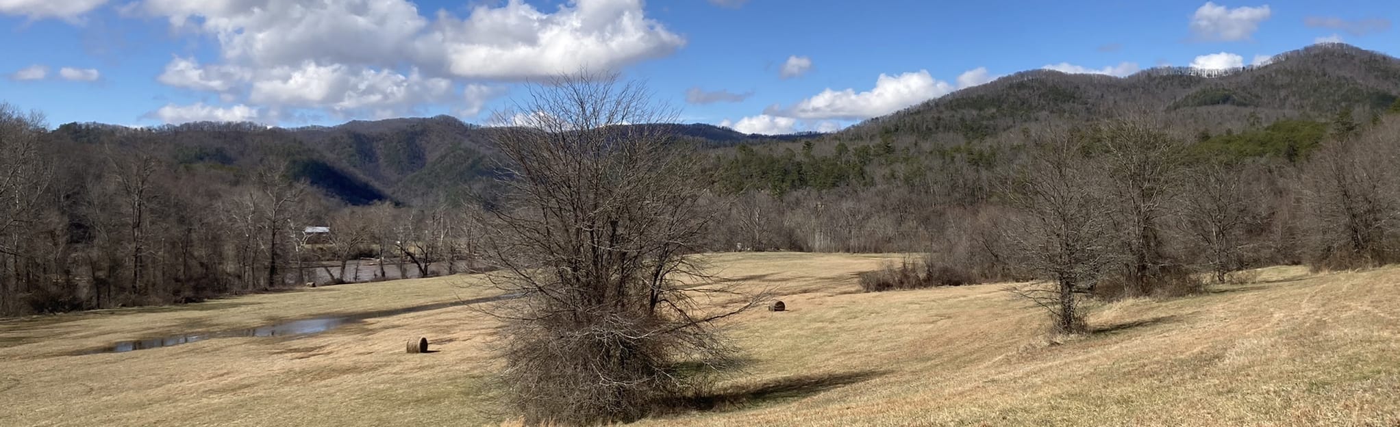 Jack Branch Trail, North Carolina - 15 Reviews, Map | AllTrails