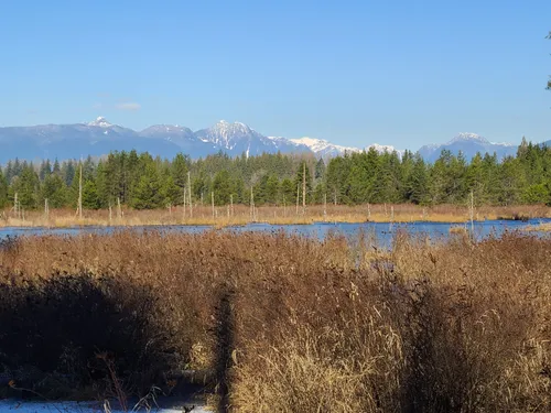 10 Best Trails and Hikes in Maple Ridge | AllTrails