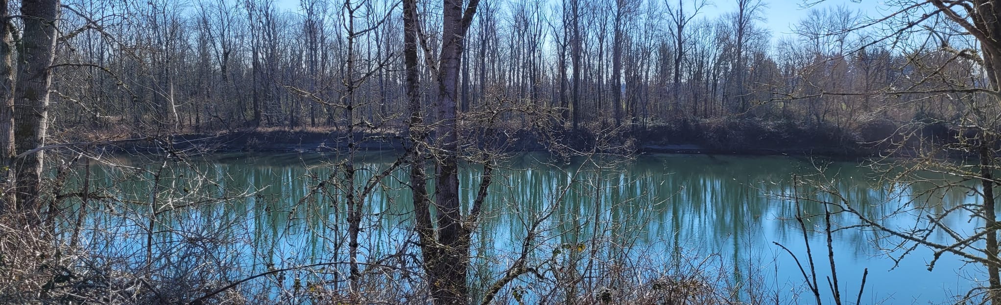 Keizer Rapids, Oregon - 191 Reviews, Map | AllTrails