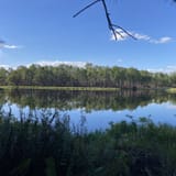 Three Lakes Loop, Florida - 245 Reviews, Map | AllTrails