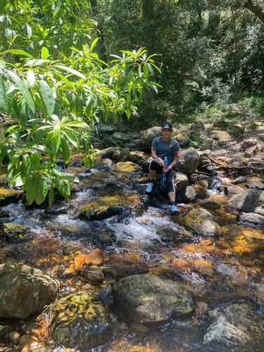 Best Hikes and Trails in Groendal Wilderness Area | AllTrails