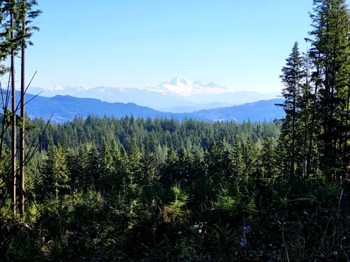 10 Best Mountain Biking Trails in Maple Ridge | AllTrails