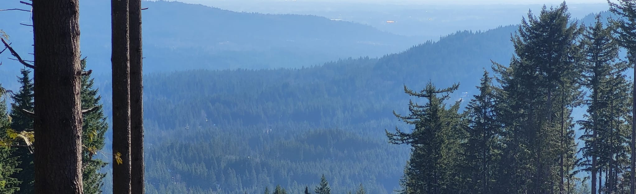 Skidder Loop, British Columbia, Canada - 7 Reviews, Map | AllTrails