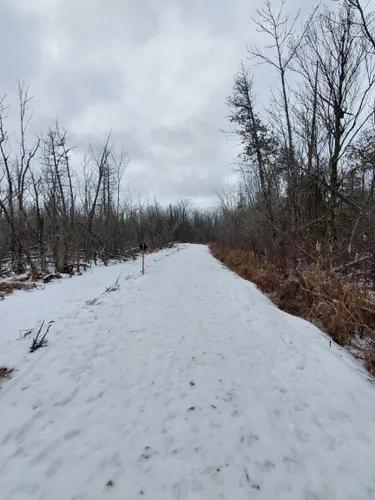 Best Hikes and Trails in Beckwith Park | AllTrails