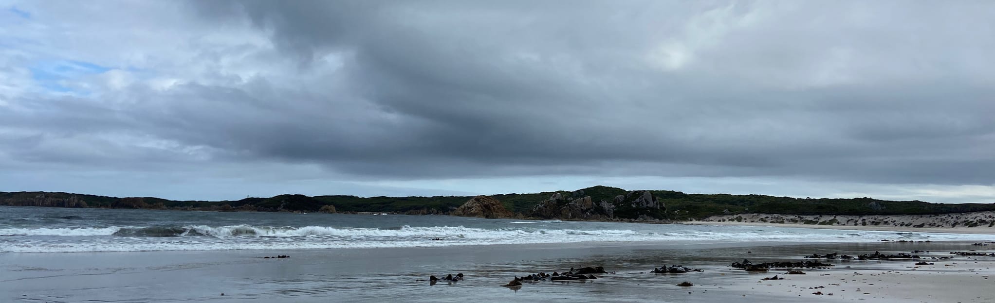 Tiddys Beach, Tasmania, Australia - Map, Guide | AllTrails