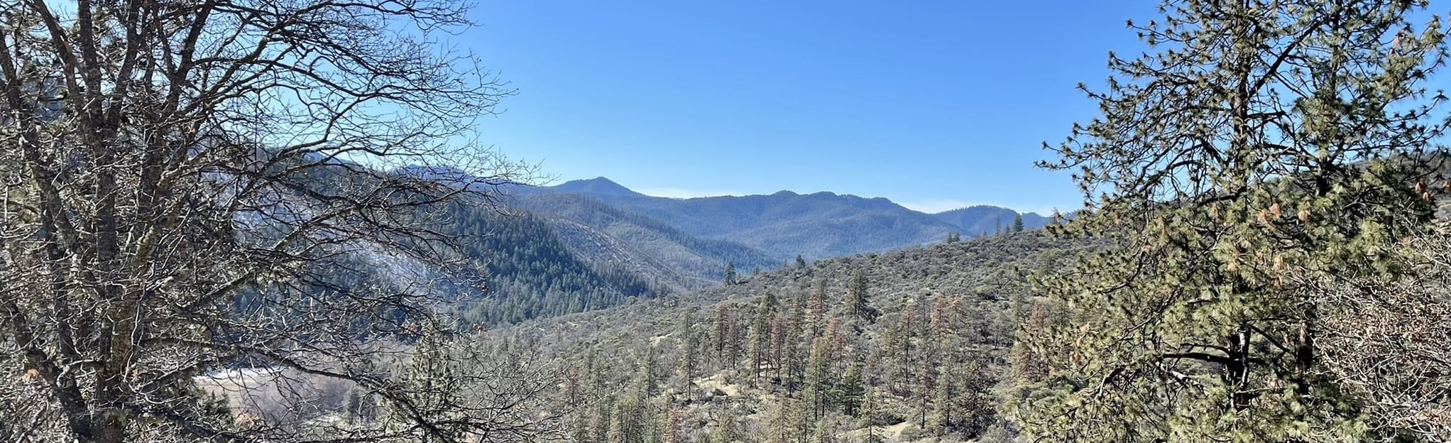 AllTrails | Tunnel Ridge Trail: 142 Reviews, Map - Oregon