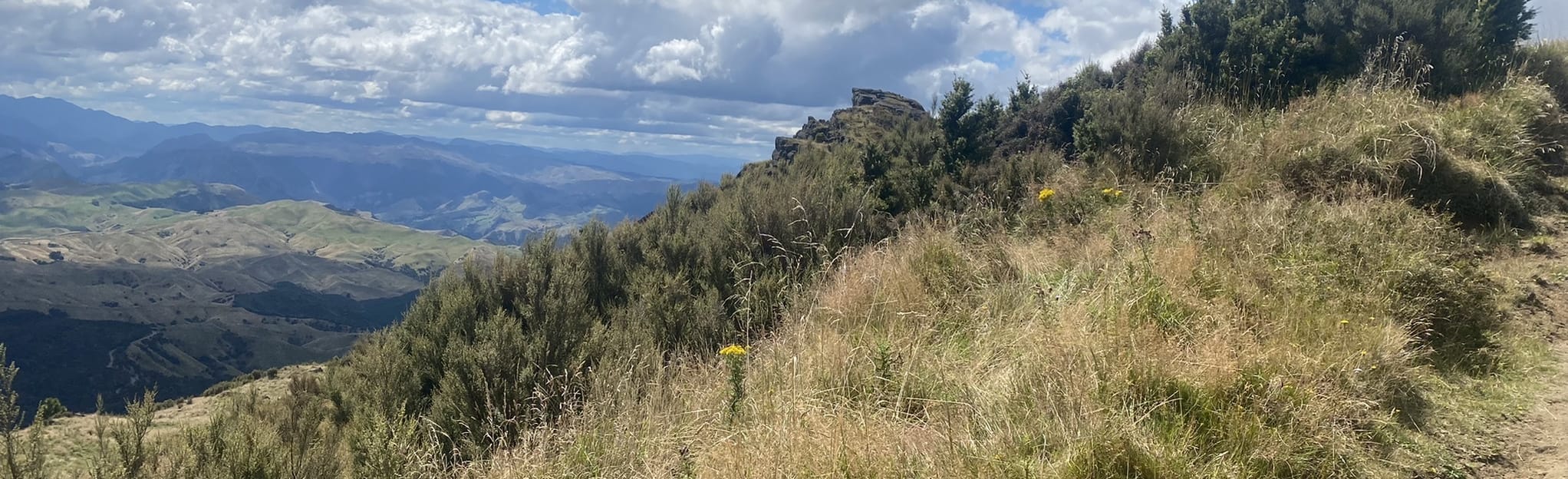 Bell Rock Loop Track, Hawke's Bay, New Zealand - 87 Reviews, Map ...