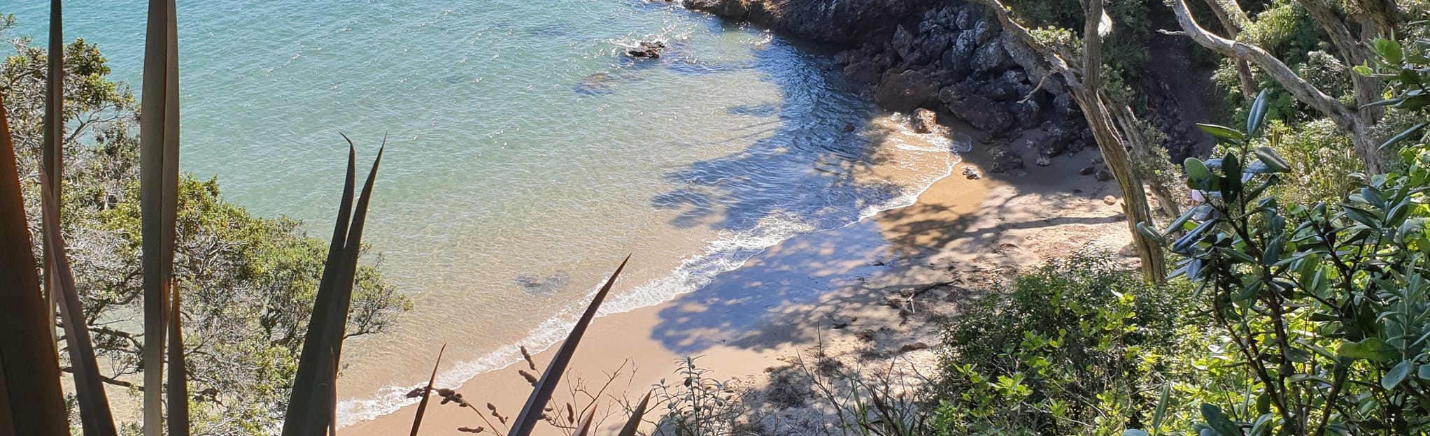 Ngunguru Estuary Walk: 9 Reviews, Map - Northland, New Zealand | AllTrails