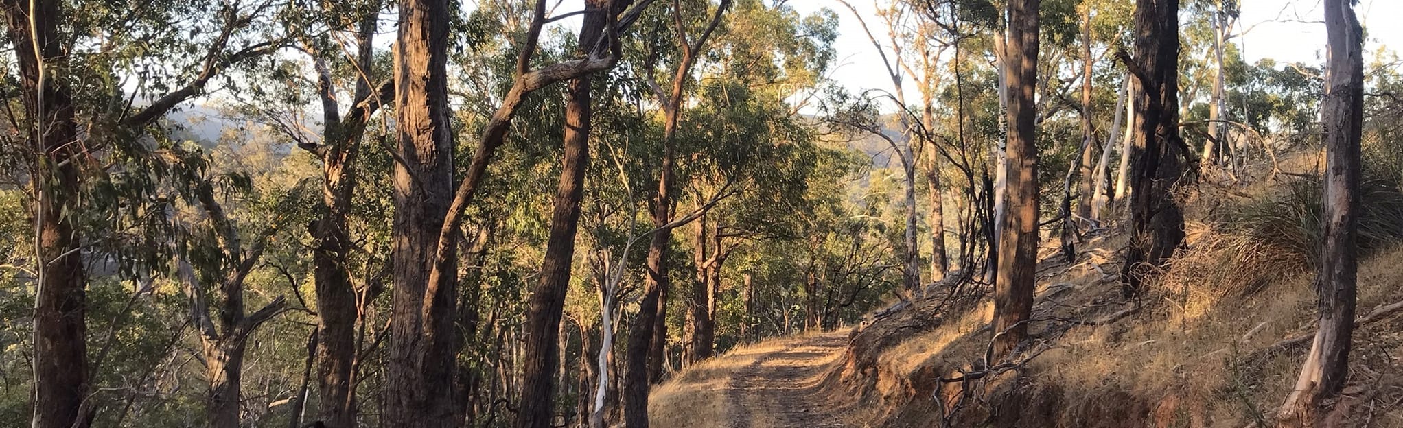 Montacute Conservation Park, South Australia, Australia - 9 Reviews ...