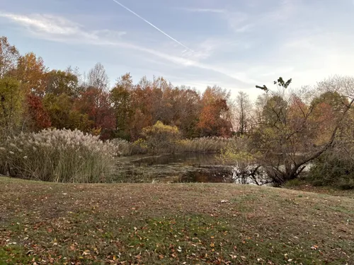 10 Best Trails and Hikes in Dover | AllTrails