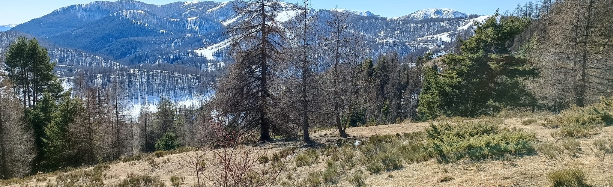 Laune - Lac de Beuil, 25 Fotos - Alpes-Maritimes, France | AllTrails