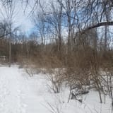 Genesee County Park and Forest Trail, New York - 284 Reviews, Map ...