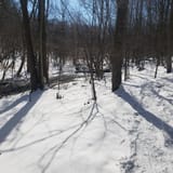 Genesee County Park and Forest Trail, New York - 284 Reviews, Map ...