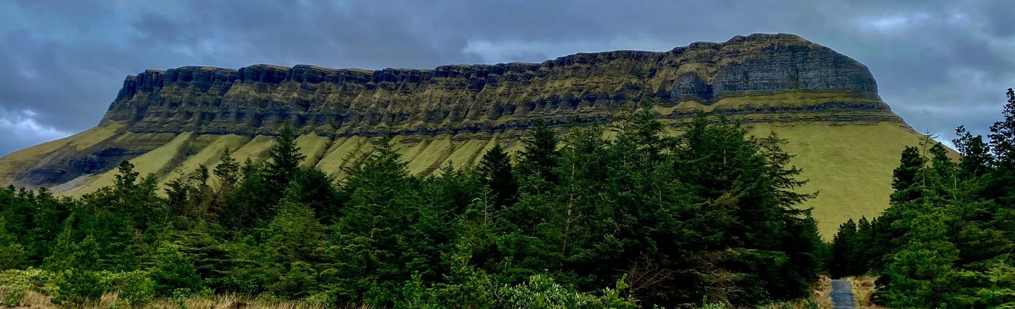 Benbulben Forest Loop: 262 Reviews, Map - County Sligo, Ireland | AllTrails