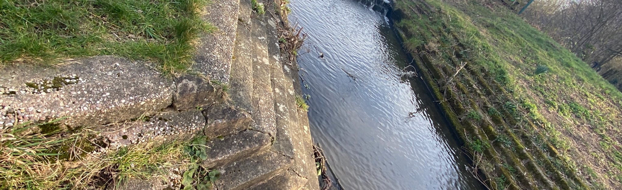 Elmdon Park Loop: 15 Reviews, Map - West Midlands, England | AllTrails