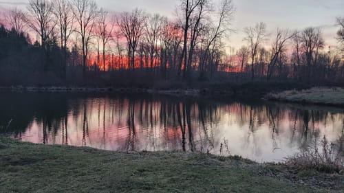 Best Hikes and Trails in Trojan Park | AllTrails