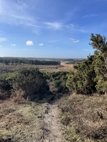 As dez melhores trilhas e caminhadas em New Forest National Park ...