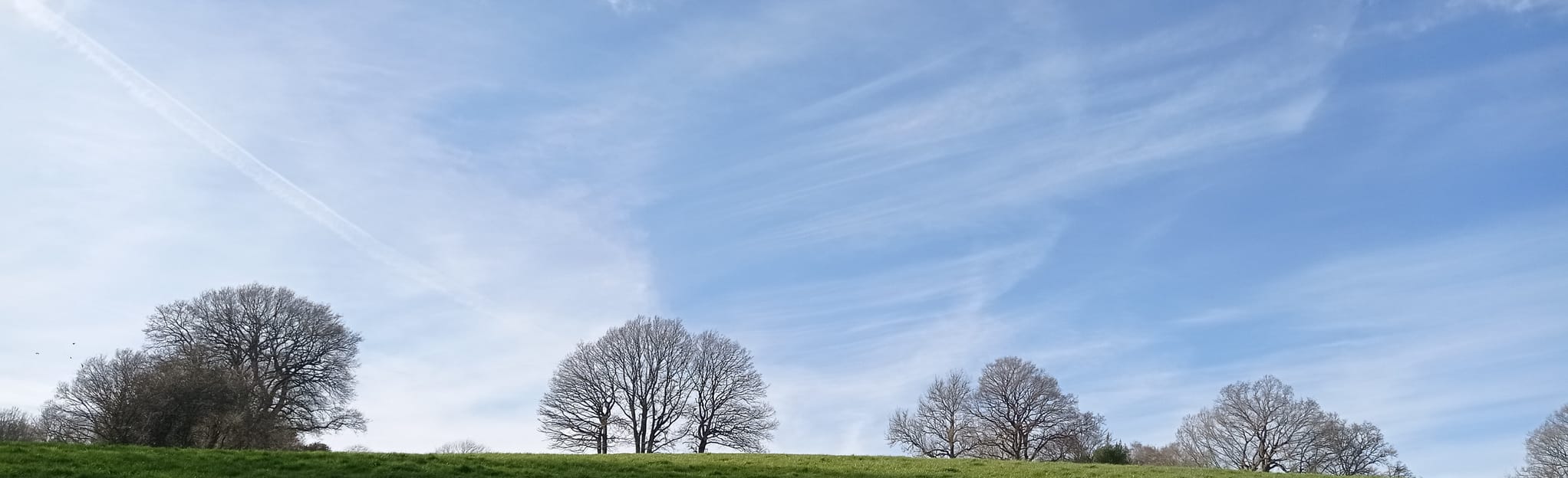 Chiddingstone Hoath Circular, 61 Photos - Kent, England | AllTrails