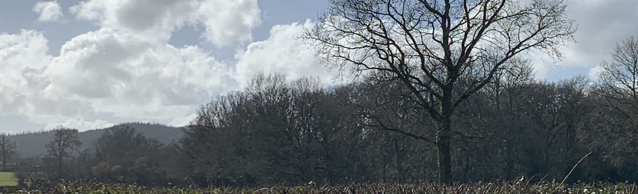 The Templer Way: 23 Reviews, Map - Devon, England | AllTrails