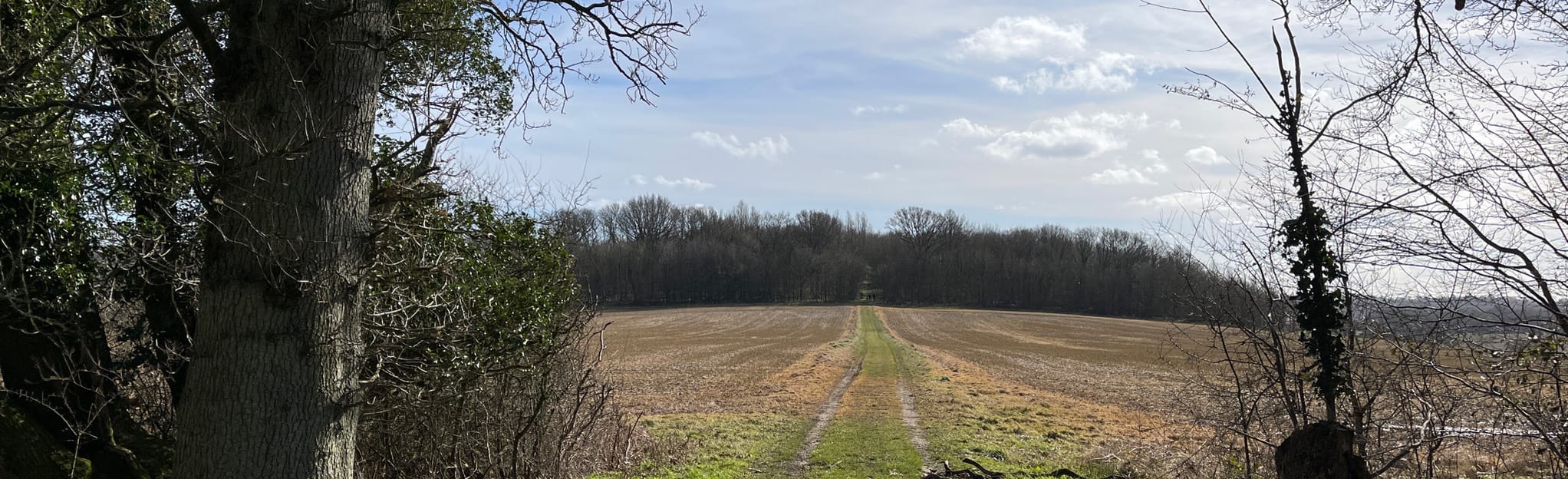 Boxford Circular: 11 Reviews, Map - Berkshire, England | AllTrails