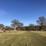 Dial Post - Shipley Circular, West Sussex, England - 187 Reviews, Map ...