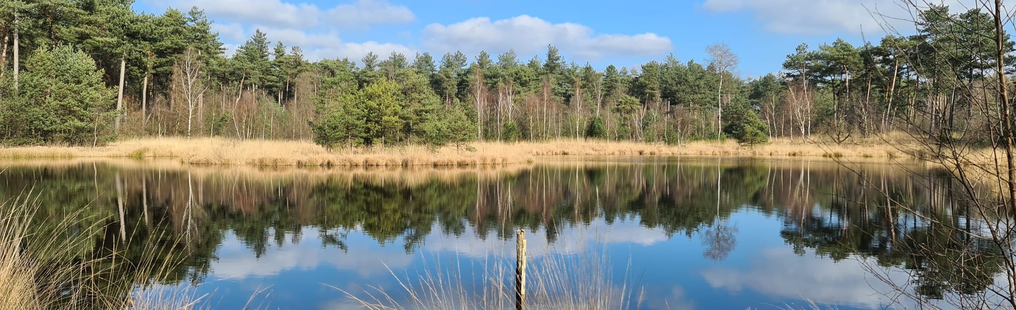Oisterwijkse 14 Vennenroute: 626 foto - Brabante Settentrionale, Paesi ...