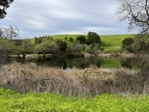 10 Best Hikes and Trails in Garin Regional Park | AllTrails