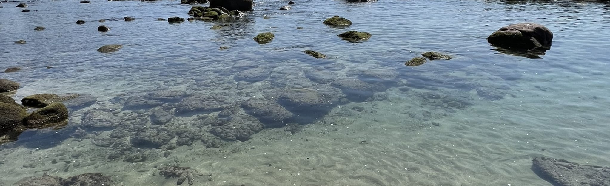 Playa Destiladeras: 5 Reviews, Map - Nayarit, Mexico | AllTrails