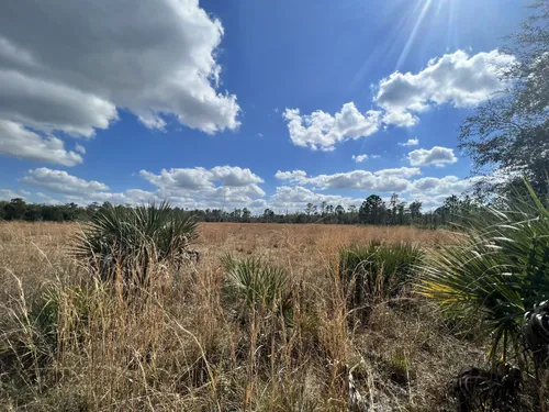 10 Best Backpacking Trails in Florida | AllTrails