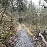 Bald Hill Natural Area Loop, Oregon - 342 Reviews, Map | AllTrails
