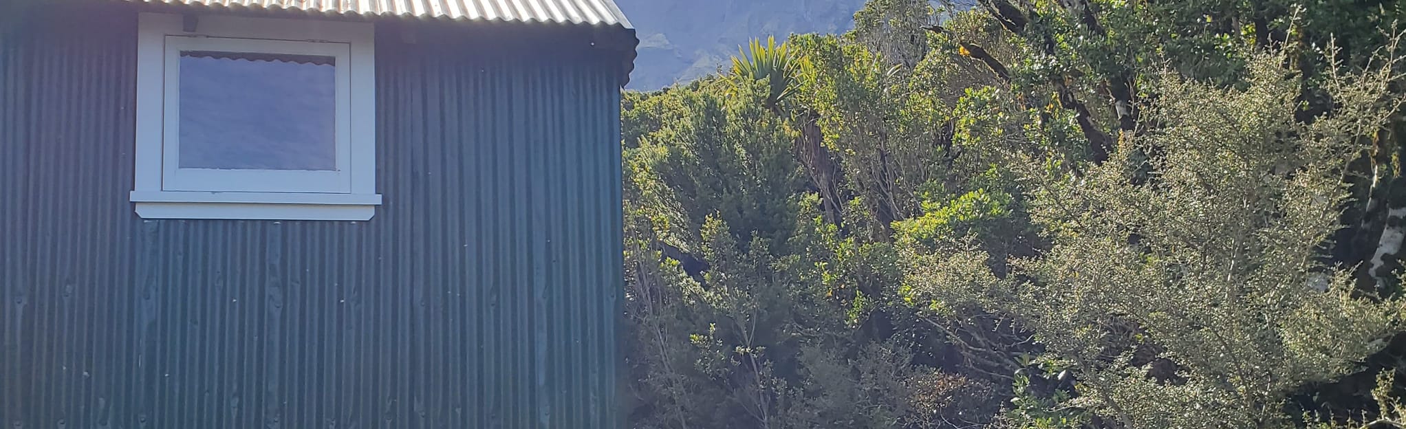 Puniho Track to Kahui Hut: 5 foto's - Taranaki, New Zealand | AllTrails