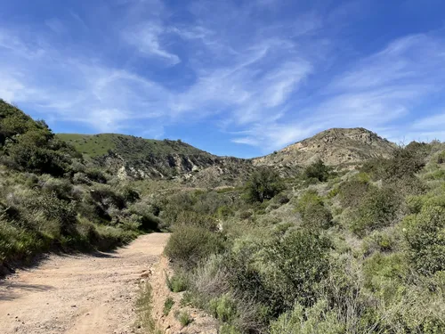 10 Best Hikes and Trails in Whiting Ranch Wilderness Park | AllTrails