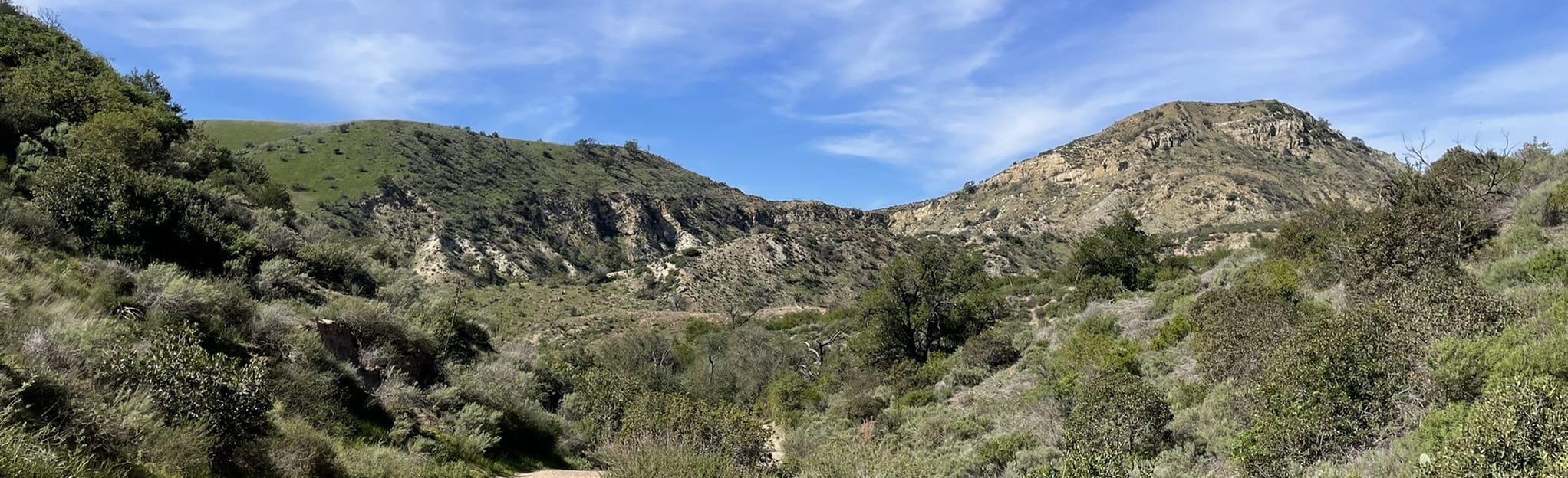 Whiting Ranch Trail, California - 1,690 Reviews, Map | AllTrails