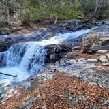 Franconia Brook Trail, New Hampshire - 323 Reviews, Map | AllTrails