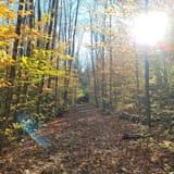 Franconia Brook Trail, New Hampshire - 323 Reviews, Map | AllTrails