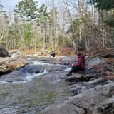 Franconia Brook Trail, New Hampshire - 323 Reviews, Map | AllTrails