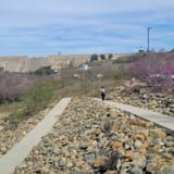 Lost Lake Nature Trail, California - 159 Reviews, Map | AllTrails