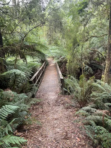 Best Hikes and Trails in Mount Worth State Park | AllTrails