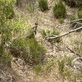 Kyeema, Channel 10 and Camella Circuit, Victoria, Australia - 232 ...